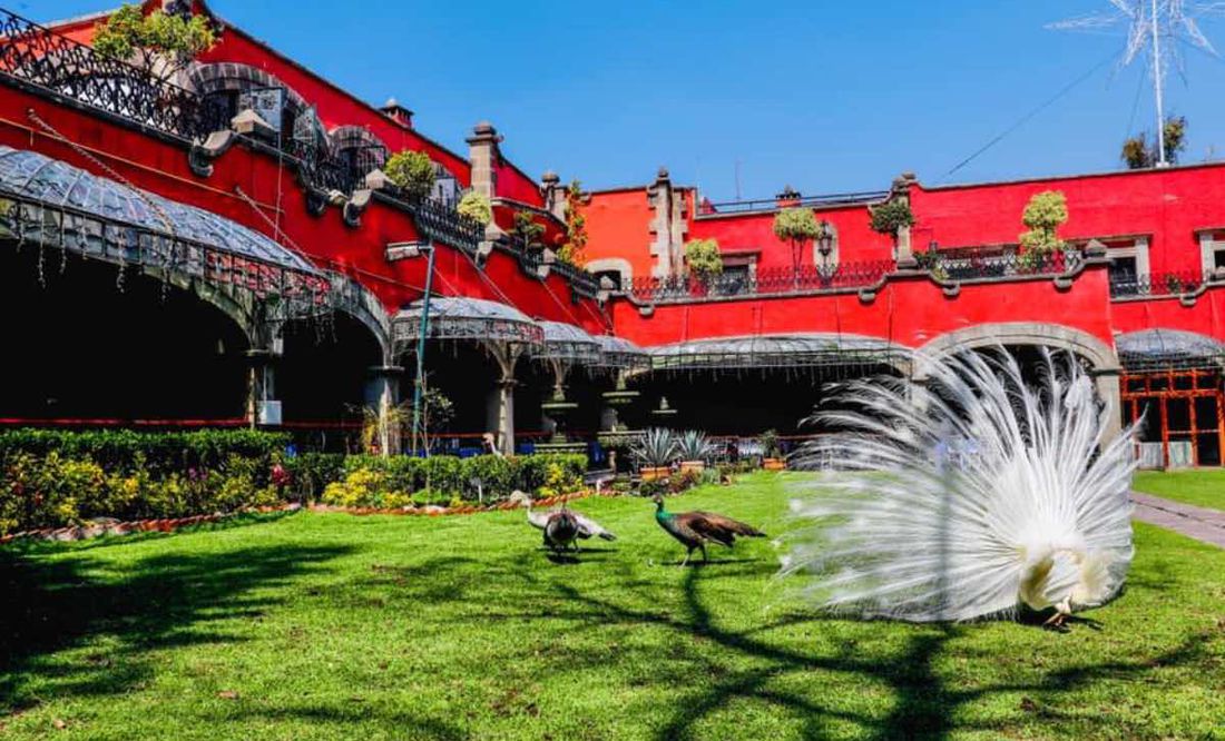 Tlalpan: 7 lugares que tienes que conocer en la alcaldía