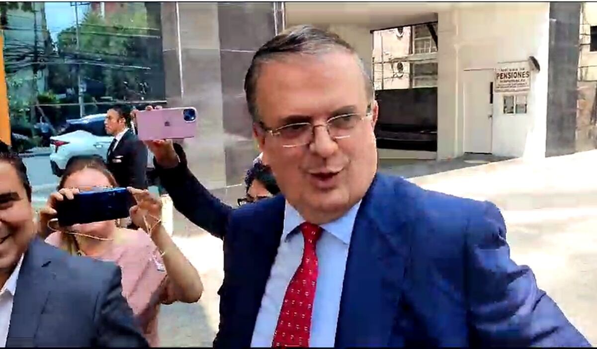 Ebrard denuncia que Malú Micher fue golpeada por policías tras intentar ...
