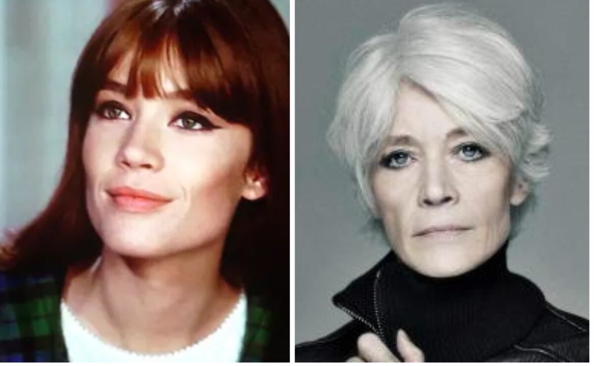 ¿Quién era Françoise Hardy, ícono del pop francés que falleció a los 80 ...