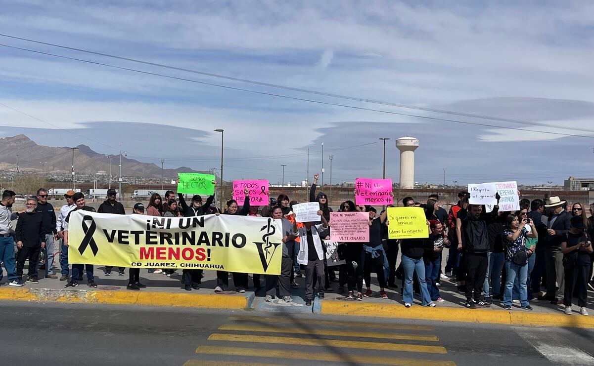 “Respeto y no violencia”: veterinarios marchan en los estados; exigen ...