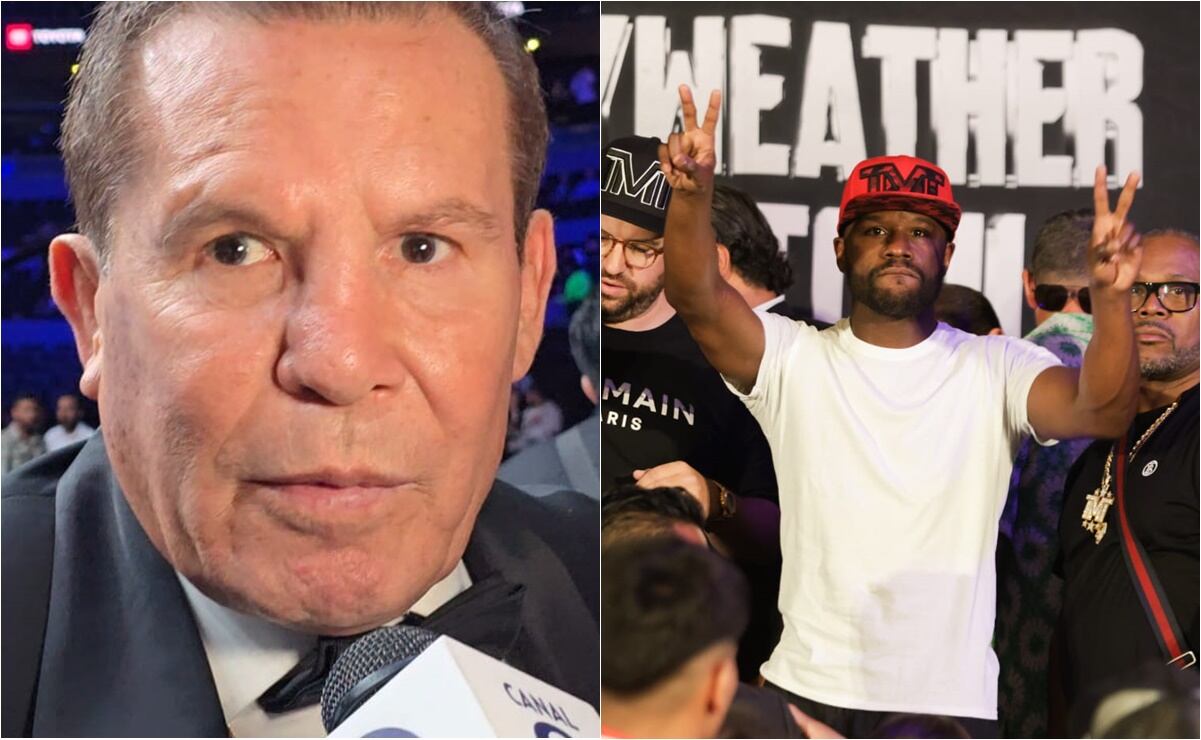 Julio César Chávez sobre Floyd Mayweather Jr: "le hubiera pegado una ...