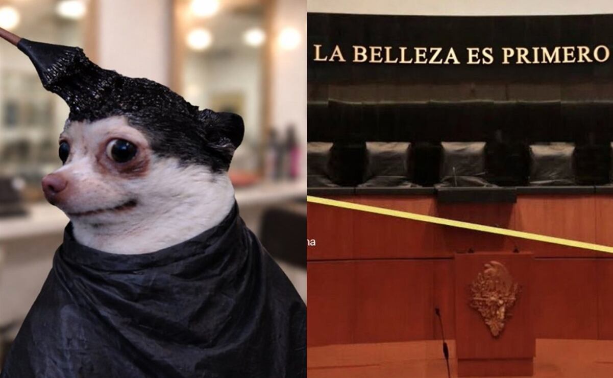 Salón de belleza en el Senado desata la mejor ola de memes; usuarios no ...