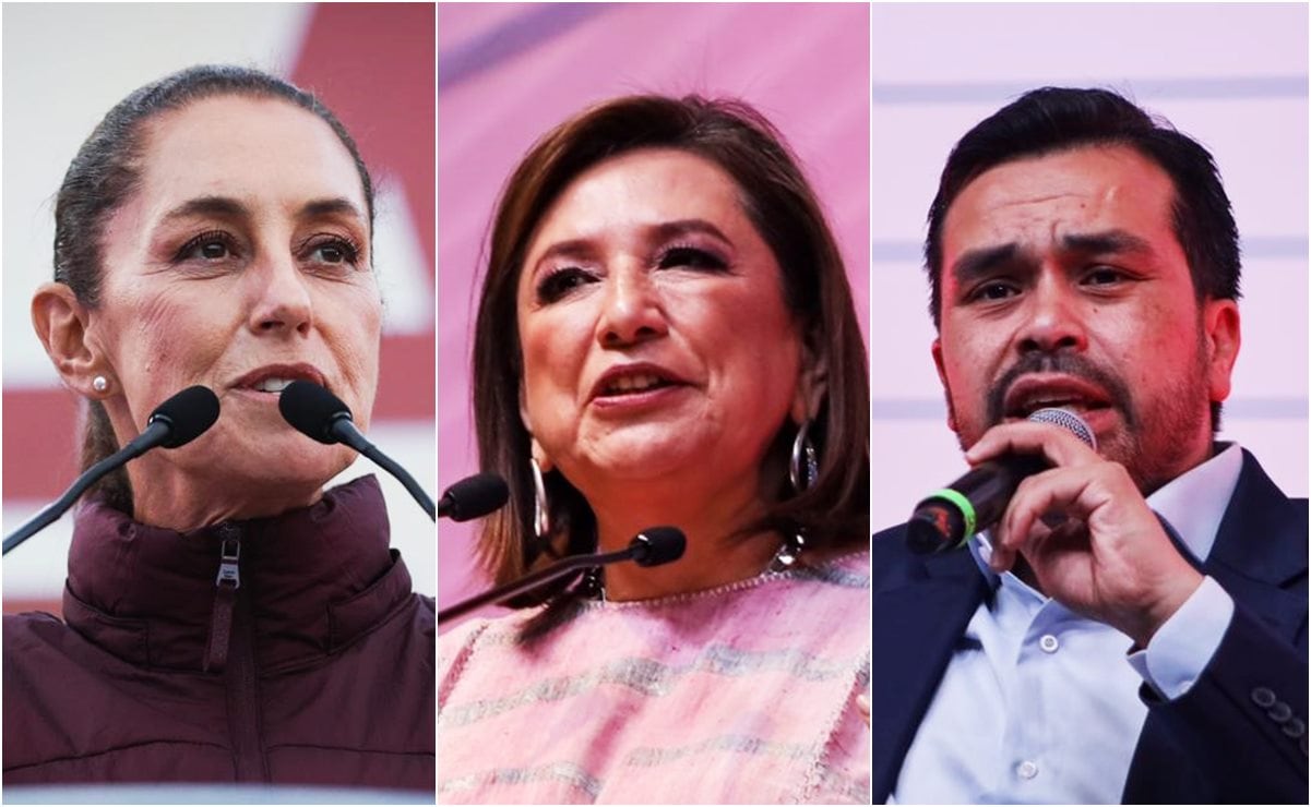 ¿Qué estudiaron Jorge Álvarez Máynez, Xóchitl Gálvez y Claudia ...