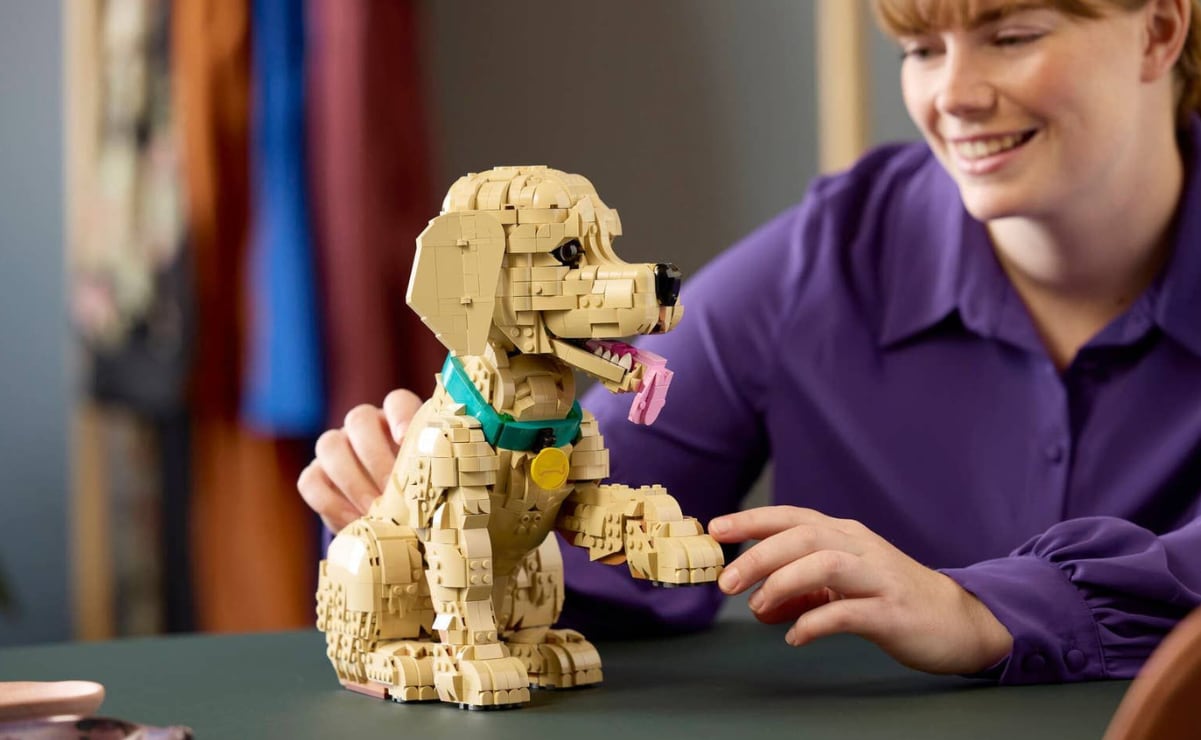 LEGO lanza set de perrito Golden Retriever; ¿cuál es su precio y cuándo ...