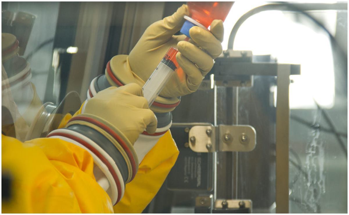 Investigan a empresa SAFE por brote de bacteria Klebsiella oxytoca en ...