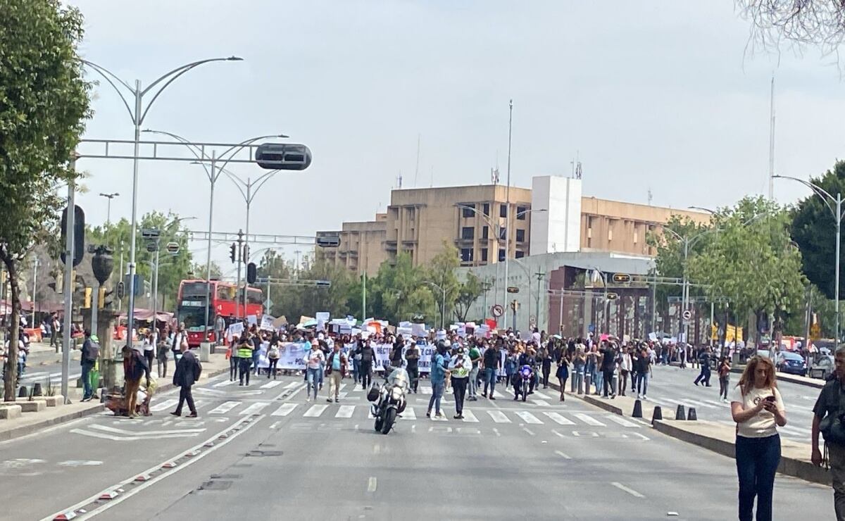 Veterinarios exigen justicia y seguridad; marchan al Senado tras el ...