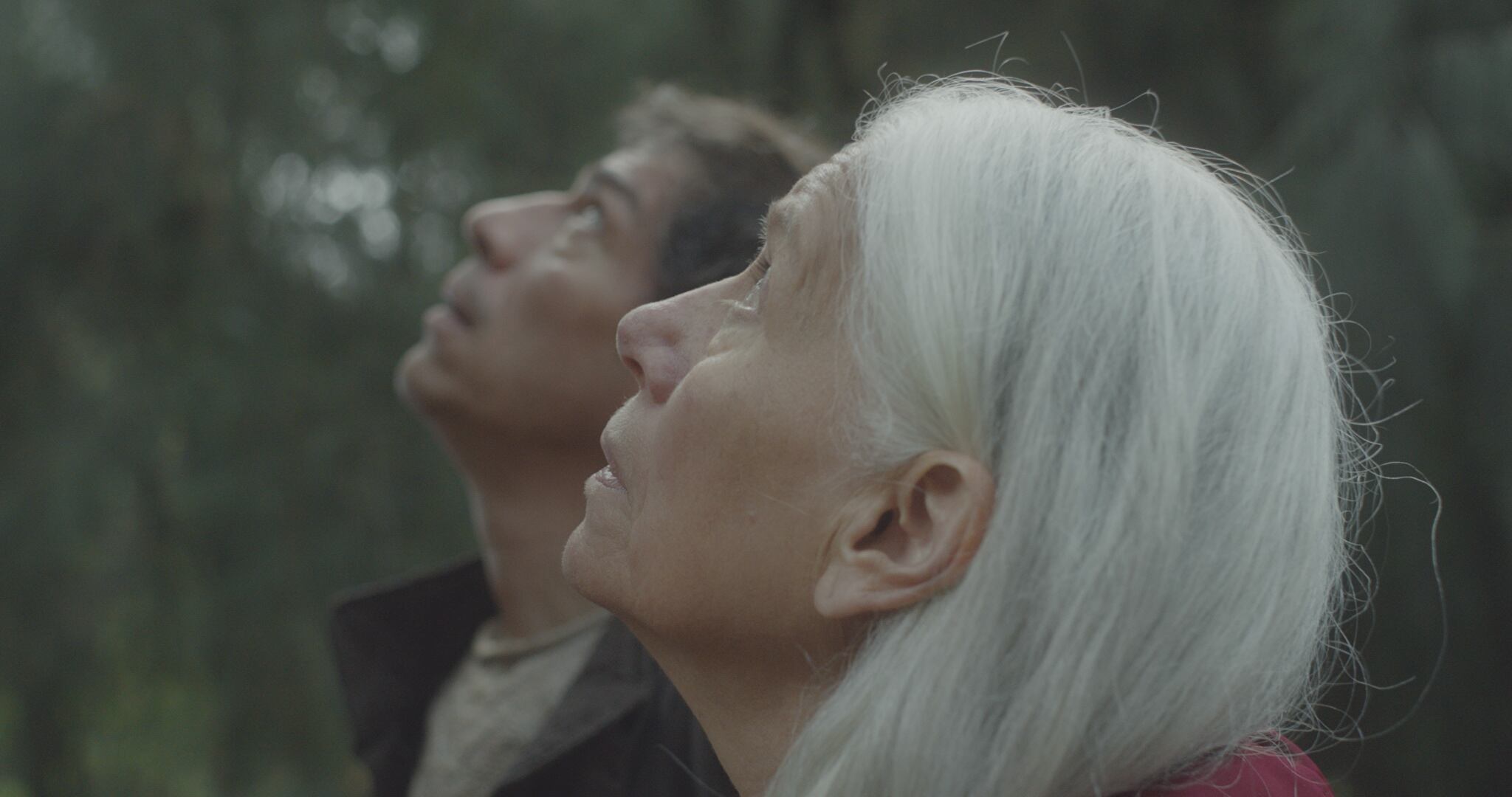 Rubén Rojo Aura y el femifinal destellante | El Universal