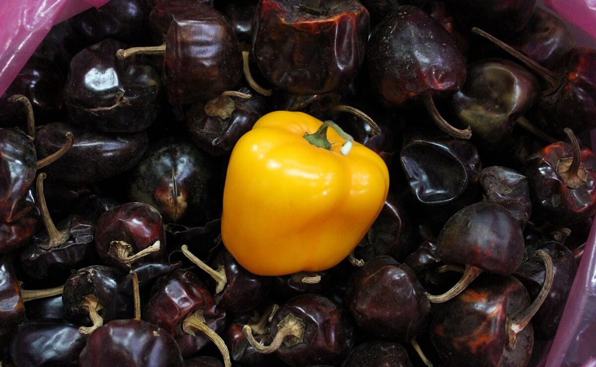 ¿Por qué los chiles cambian de nombre cuando se secan?