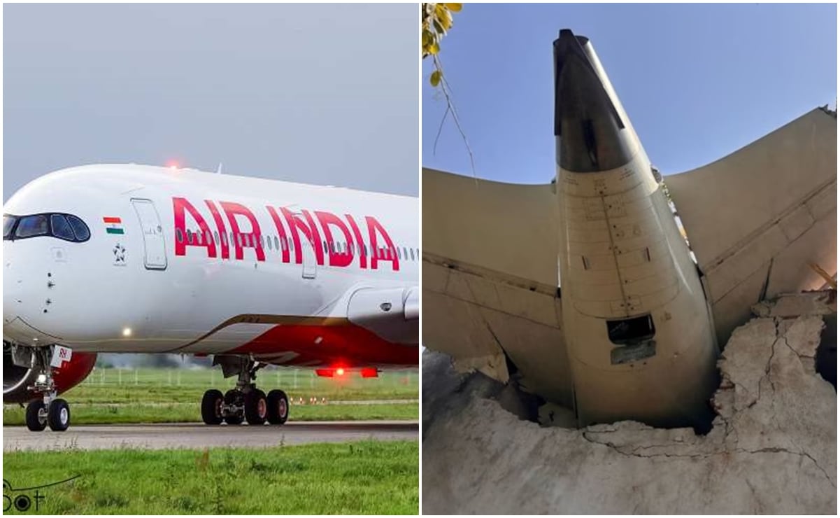 ¿Cómo es Air India, la aerolínea cuyo avión se estrelló con 242 ...