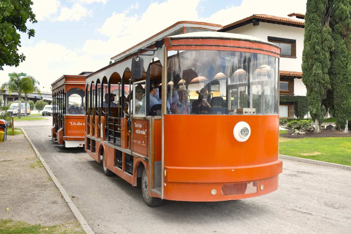 Cuánto cuesta el paseo en el Uva Bus del viñedo de Sala Vivé