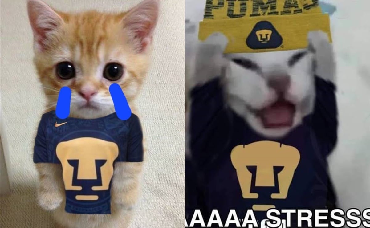 Pumas se roba los mejores memes al perder contra el Atlético de San Luis