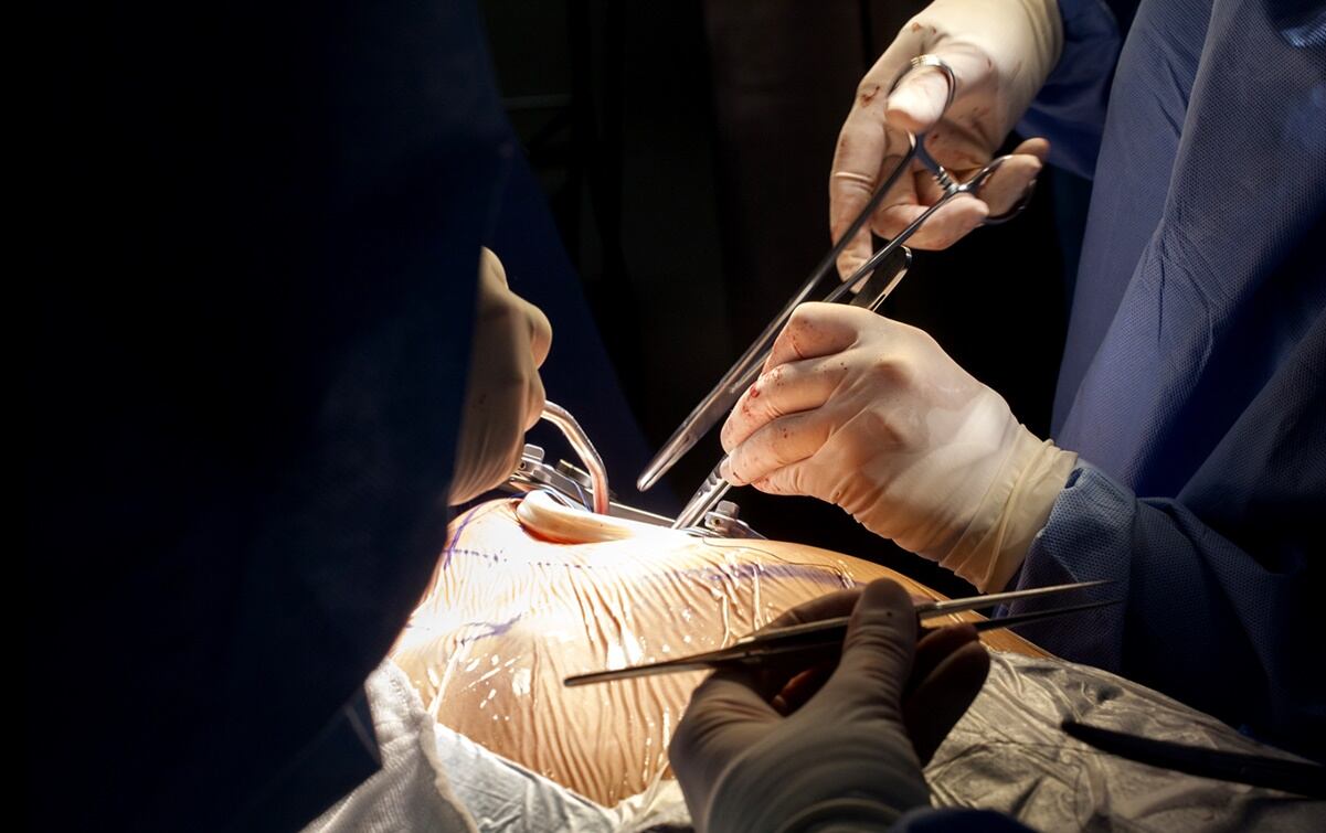 Fabrican un corazón biorobótico que palpita como un órgano vivo | El ...