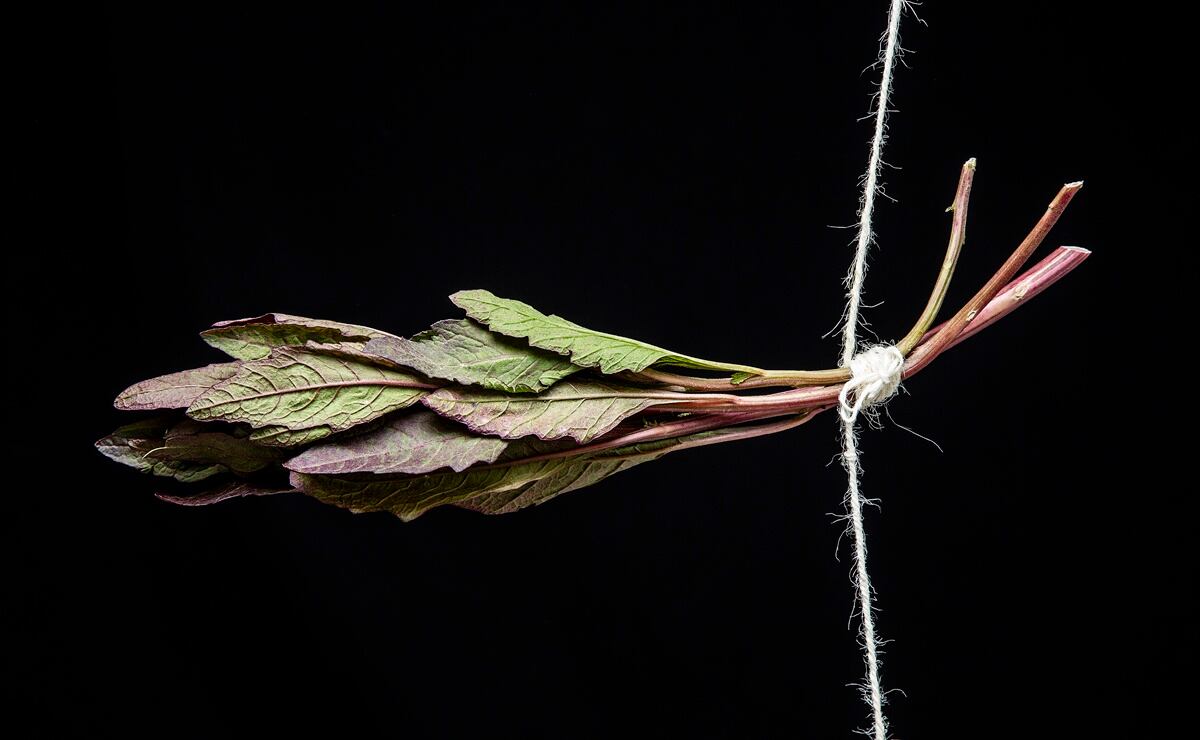 Siete hierbas para usar en la cocina