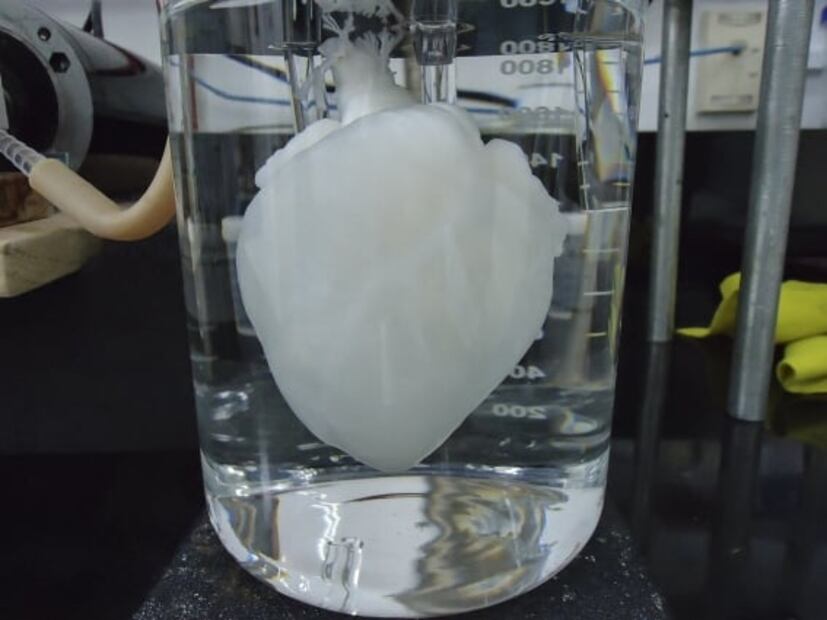 La UNAM crea biomateriales para regenerar piel y huesos