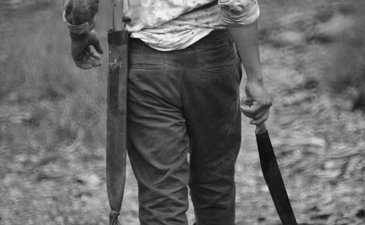 Fiscalía de Sinaloa investiga riña durante convivio en Ahome; joven ...