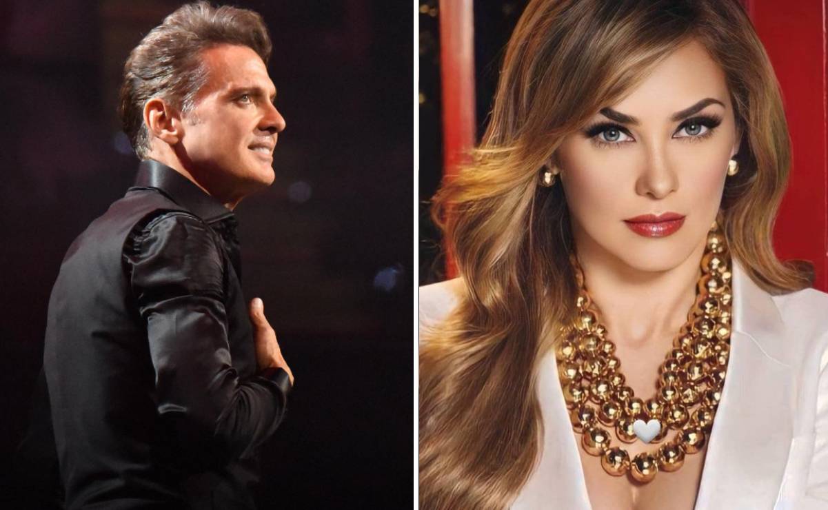 Abogado de Aracely Arámbula niega que Luis Miguel haya pagado la manutención de sus hijos