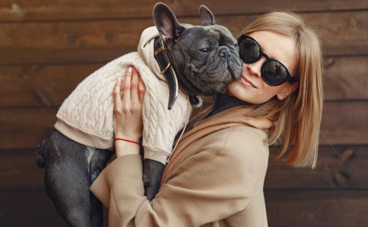 Descubre las razas de perros más elegantes del mundo