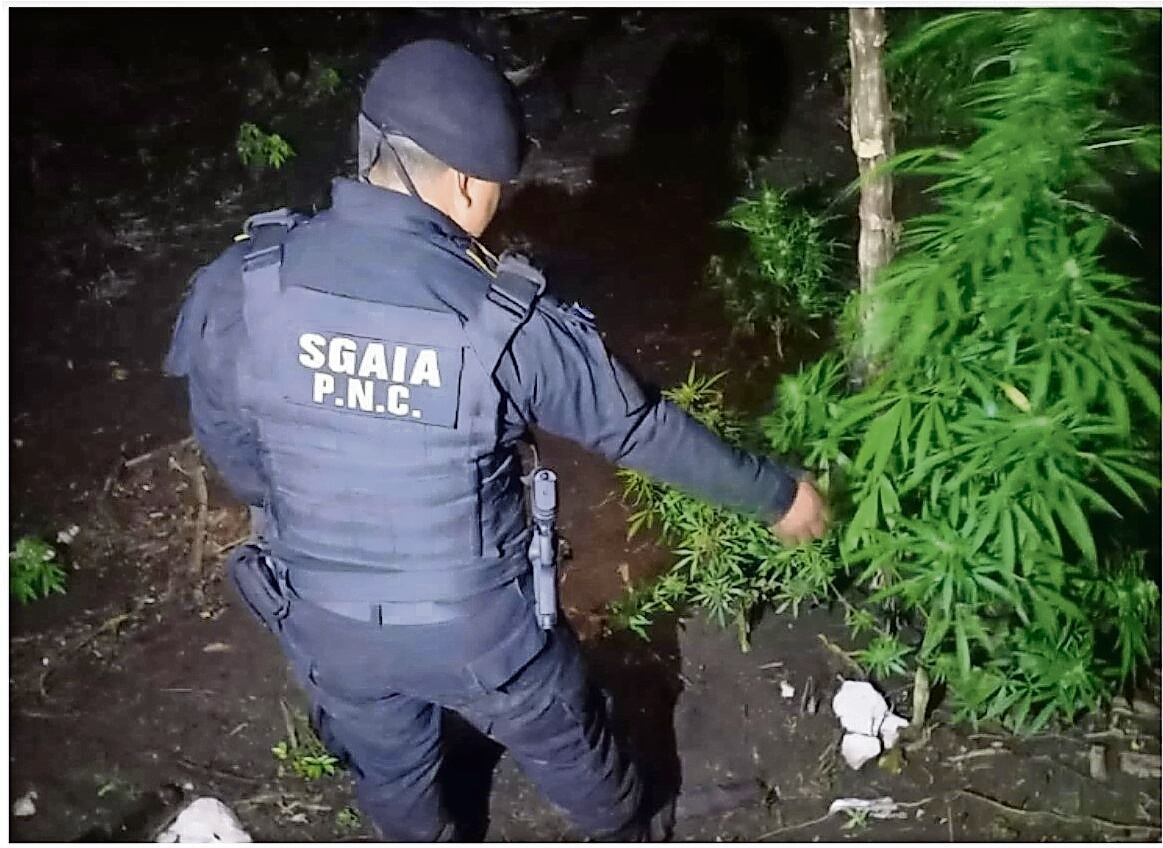 Cárteles del narco operan “sin fronteras” en América Latina | El Universal