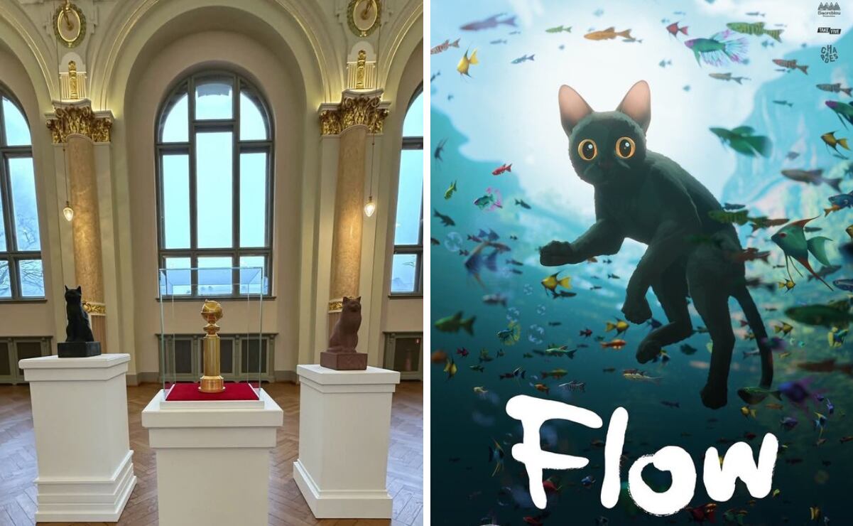 Así exhiben el Globo de Oro de película "Flow" en Letonia; es ...