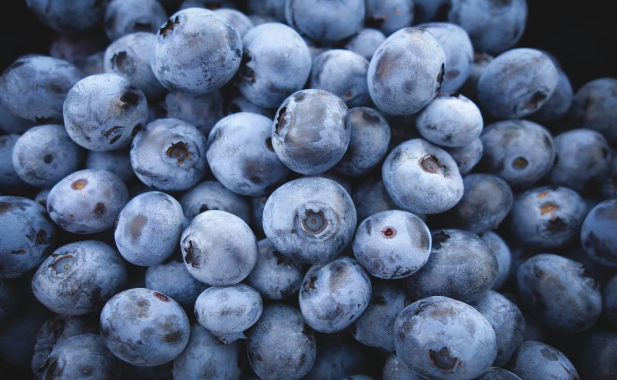 ¿Para qué sirve comer mora azul?