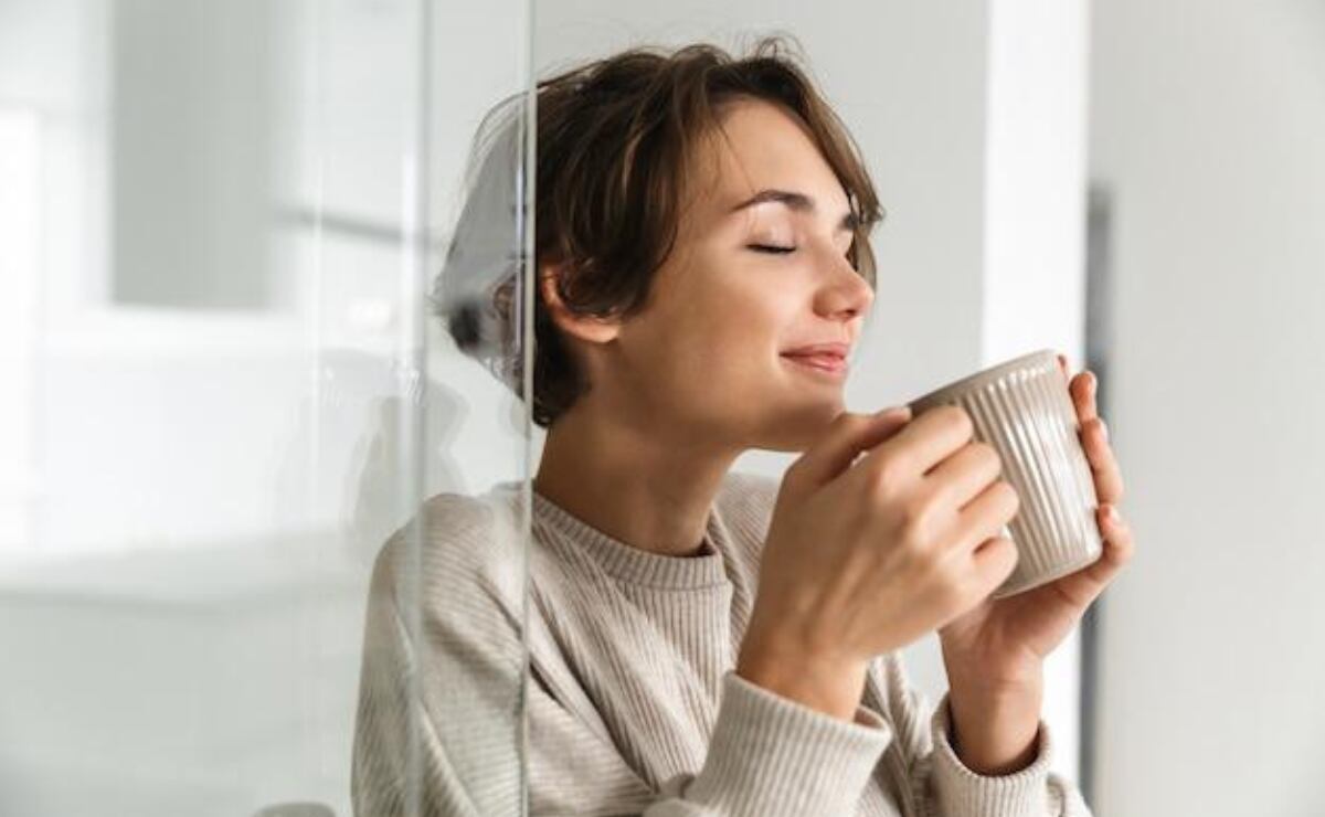 Harvard confirma los beneficios para la salud al beber té diariamente ...
