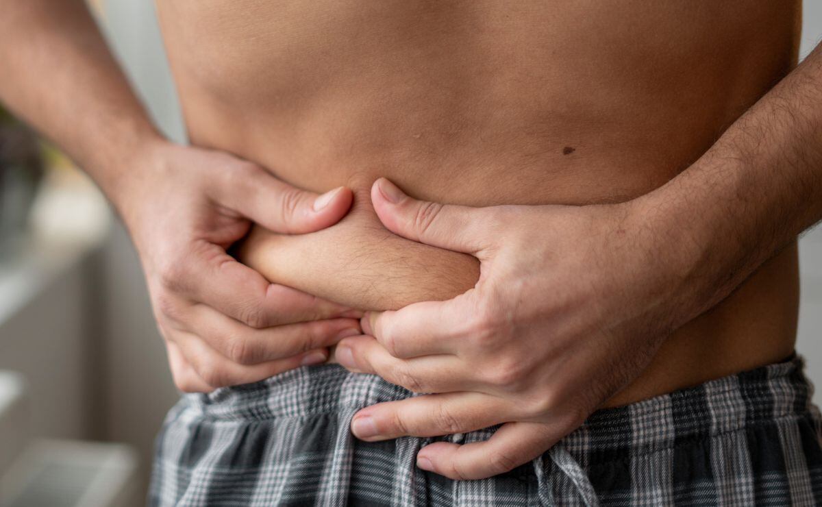 ¿Cuál es la diferencia entre la grasa visceral y la subcutánea y por ...