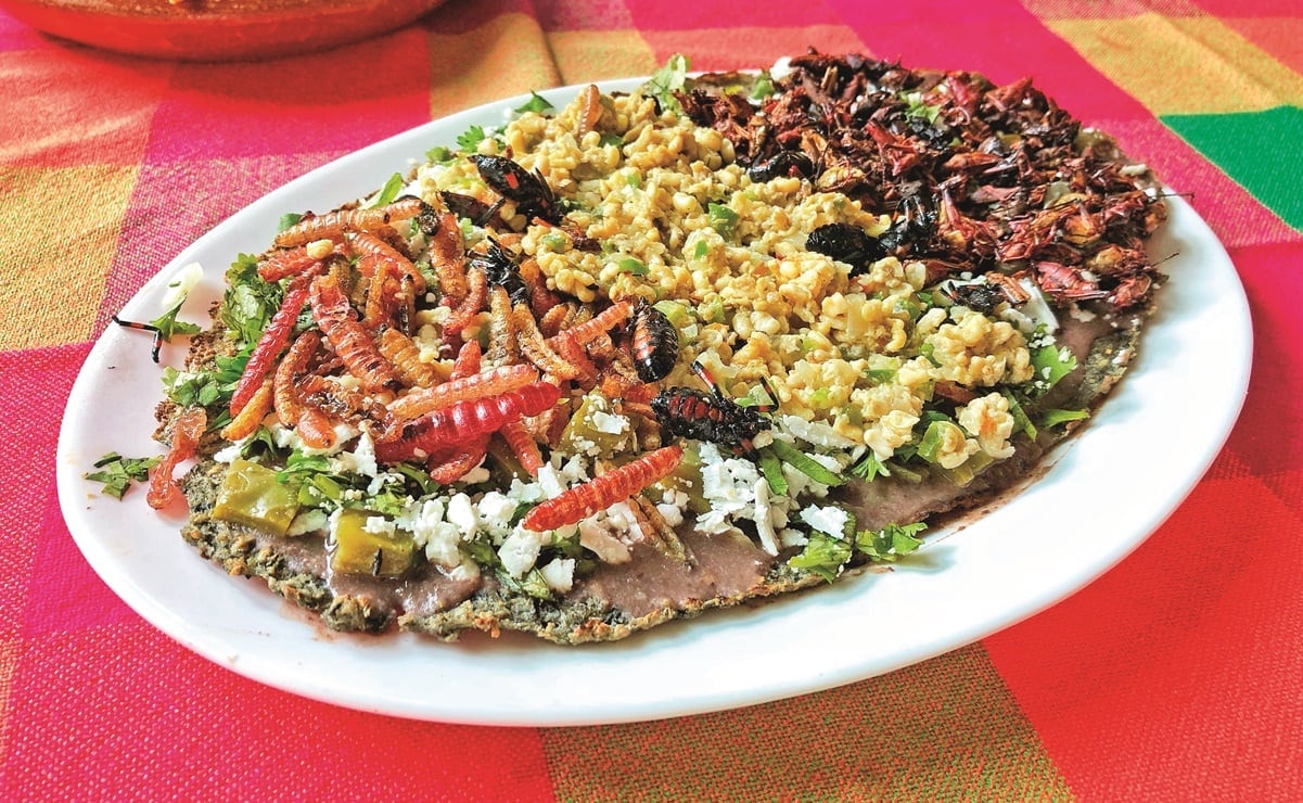 De qué está hecho el asiento de las tlayudas