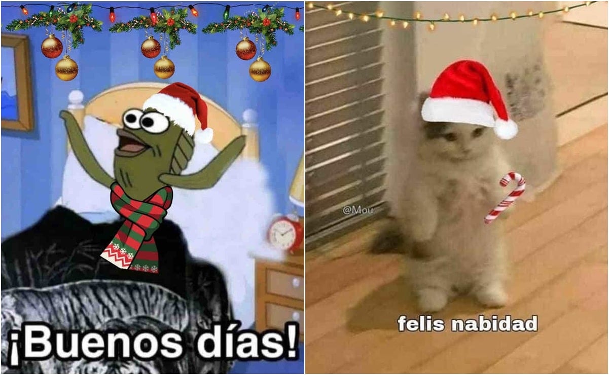 Navidad 2024; los mejores memes para celebrar este 25 de diciembre con ...
