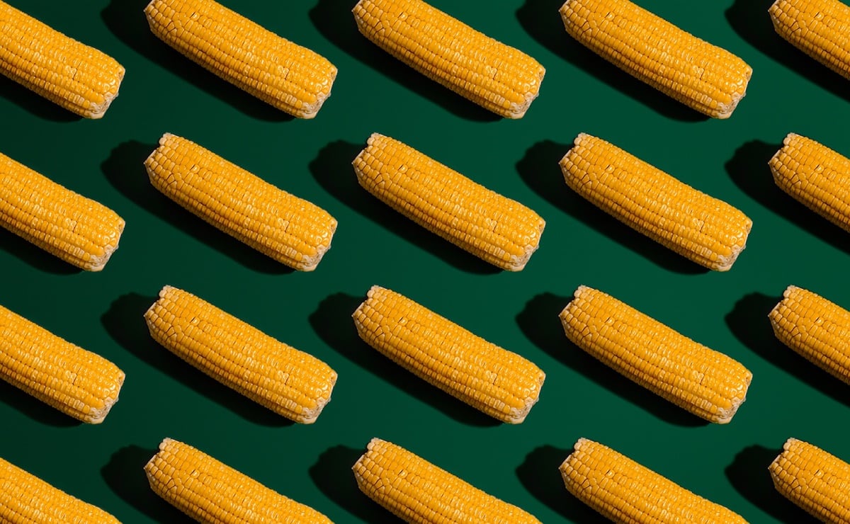 ¿Qué pasa si como elotes todos los días?