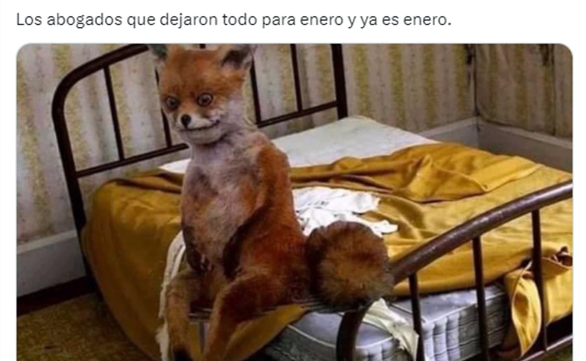 “Lo vemos en enero”, la frase que peor envejeció este 2024 y los memes ...