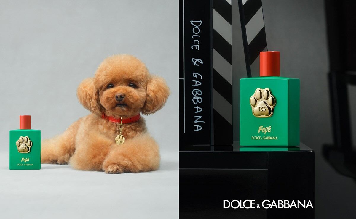 Esto cuesta el lujoso perfume para perros de Dolce & Gabbana