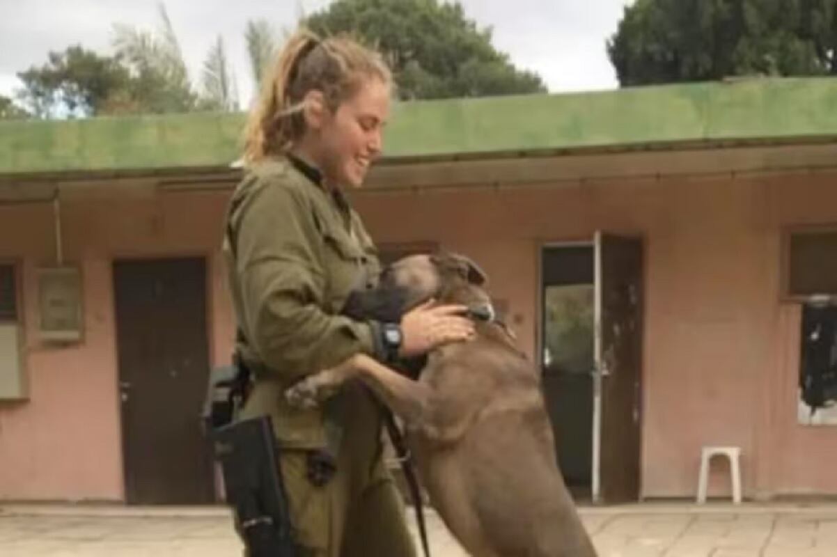Inbal Lieberman: la soldado israelí que desobedeció órdenes y salvó un ...