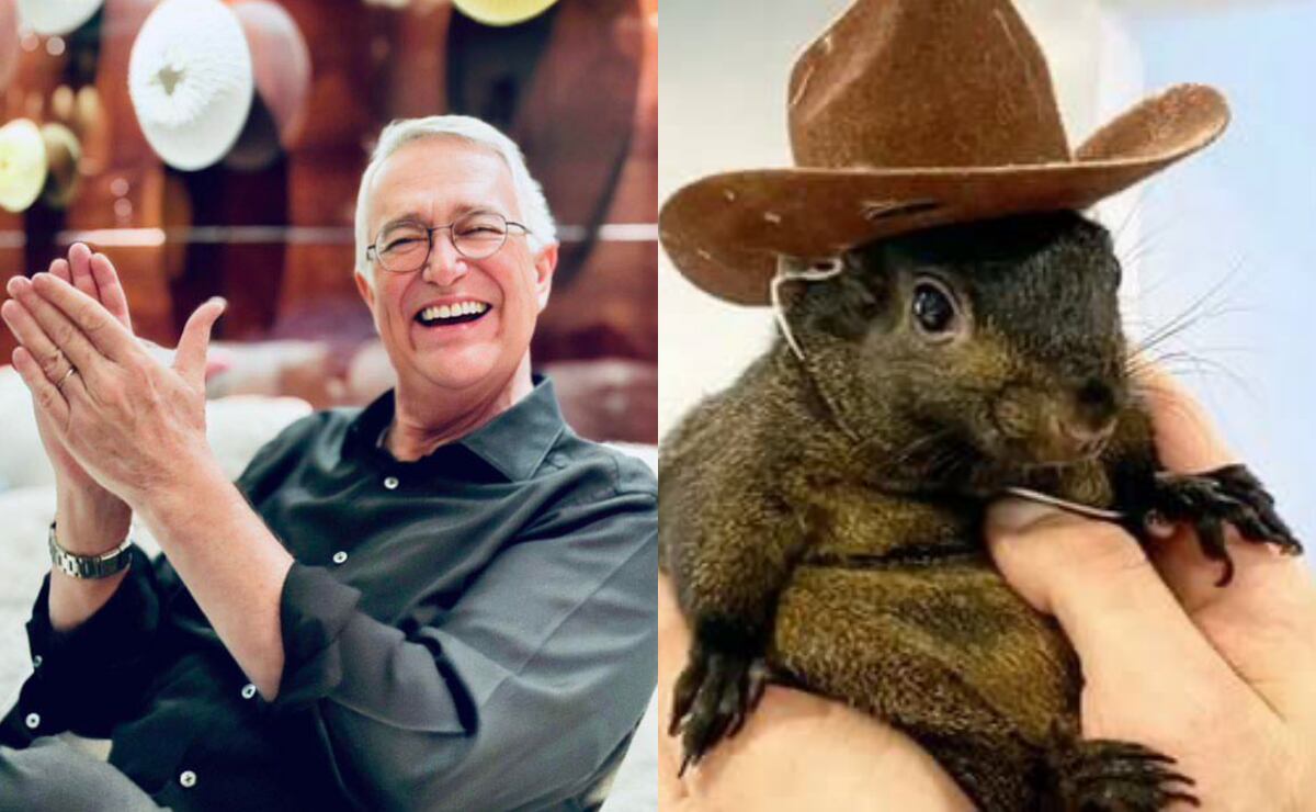 Salinas Pliego reacciona a sacrificio de "Peanut", ardilla viral de redes; "puede cambiar la ...