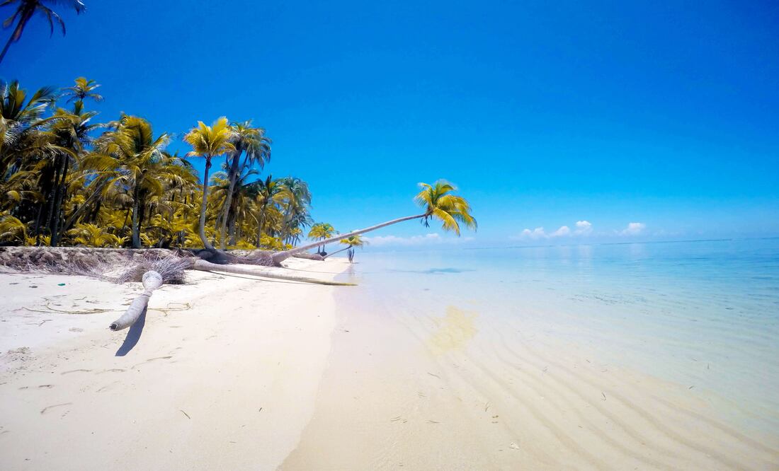 Ponen a la venta isla natural en Miami por 31 mdd, ambientalistas ...