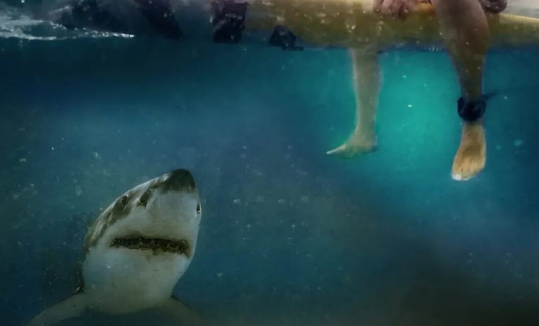 Ideal Para Los Amantes De Los Tiburones El Documental En Hbo Max Que