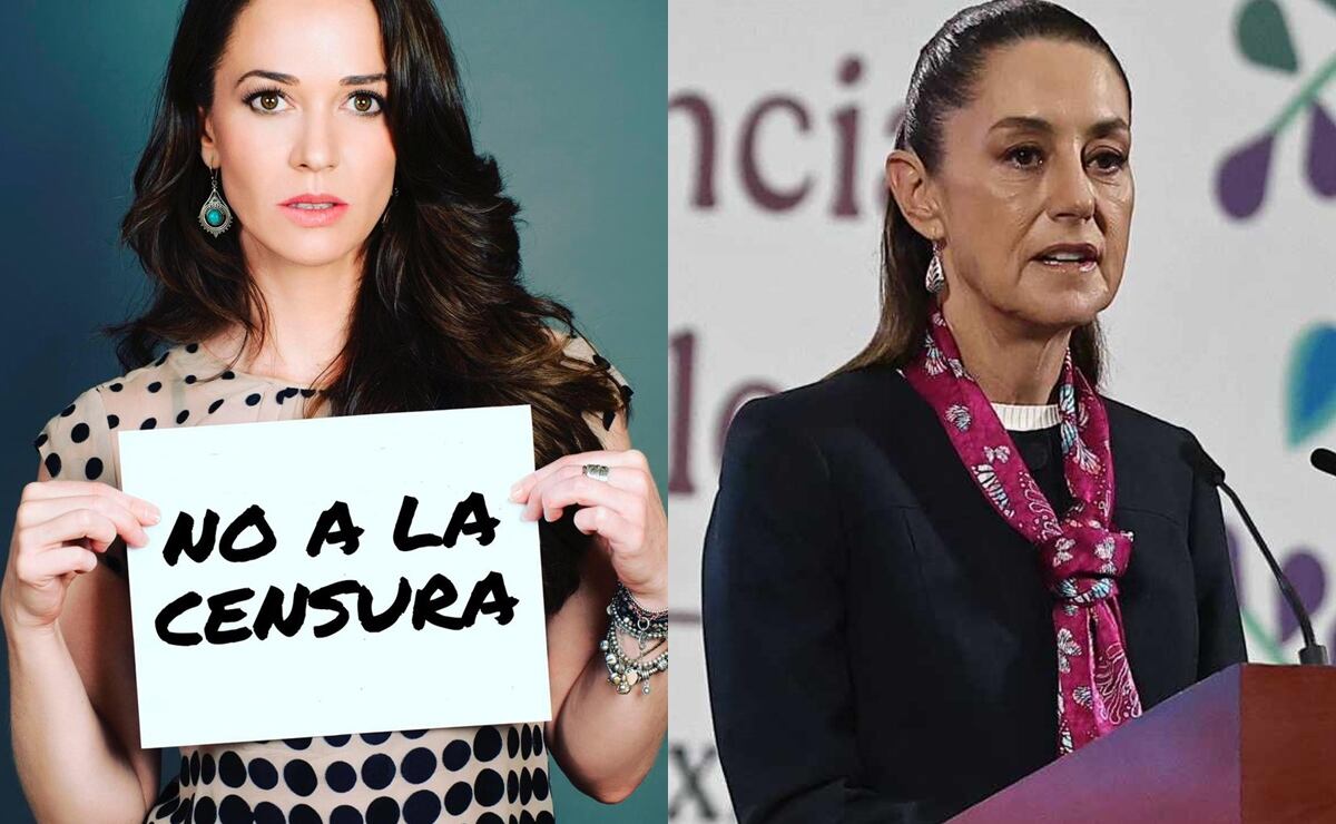 Laisha Wilkins pide a Sheinbaum revisar notificación del TEPJF tras denuncia por tuit; “está ...