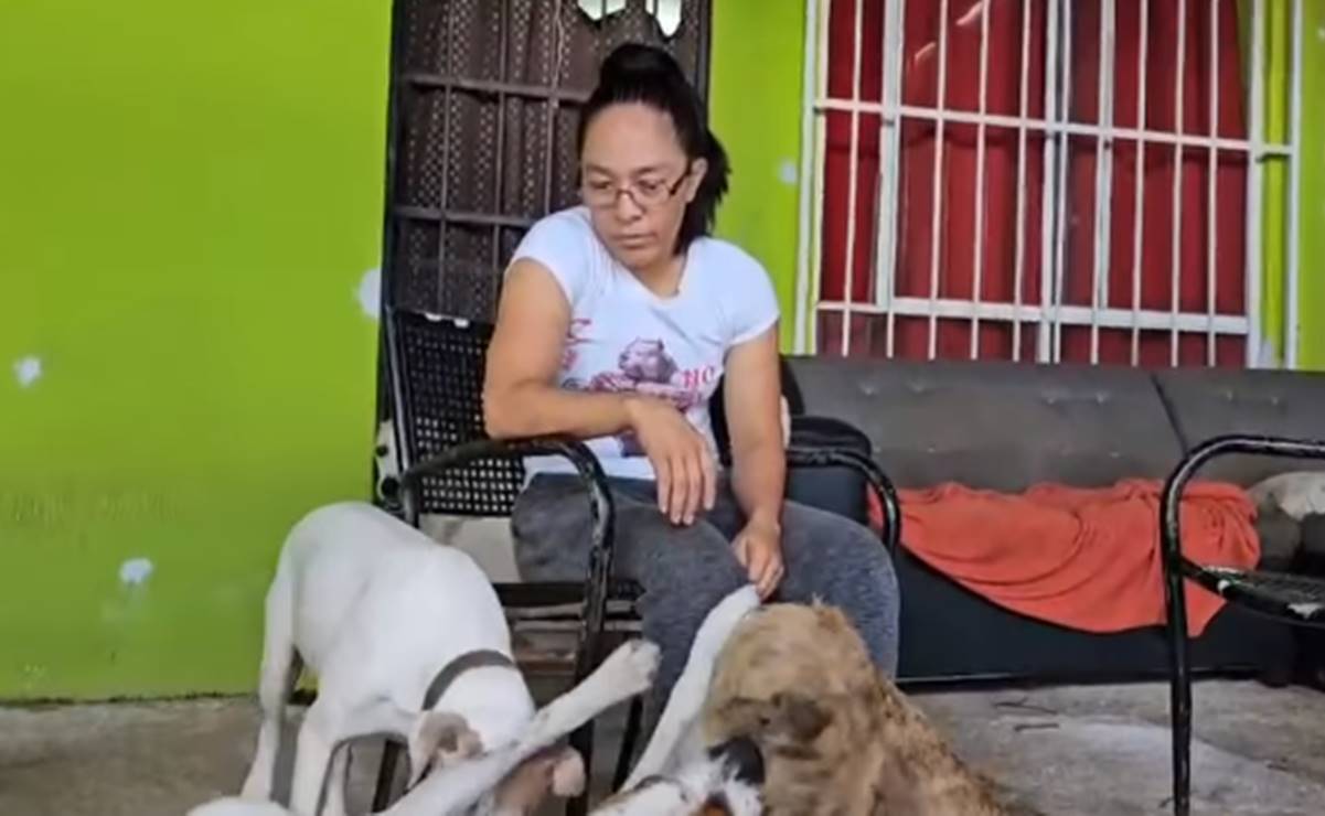 VIDEO: Exigen protección para Aline “La Chinita” González; boxeadora y ...