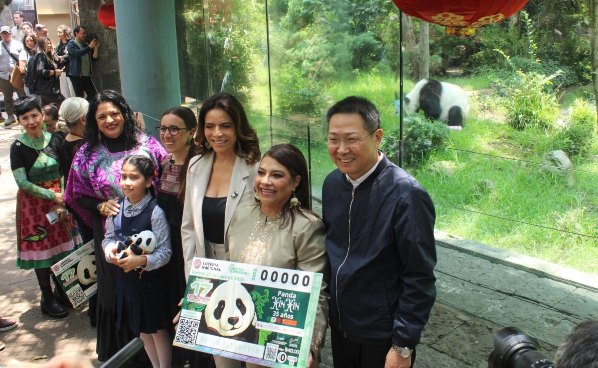 Lotería Nacional devela billete conmemorativo de Xin Xin, la panda de Chapultepec; buscan honrar ...