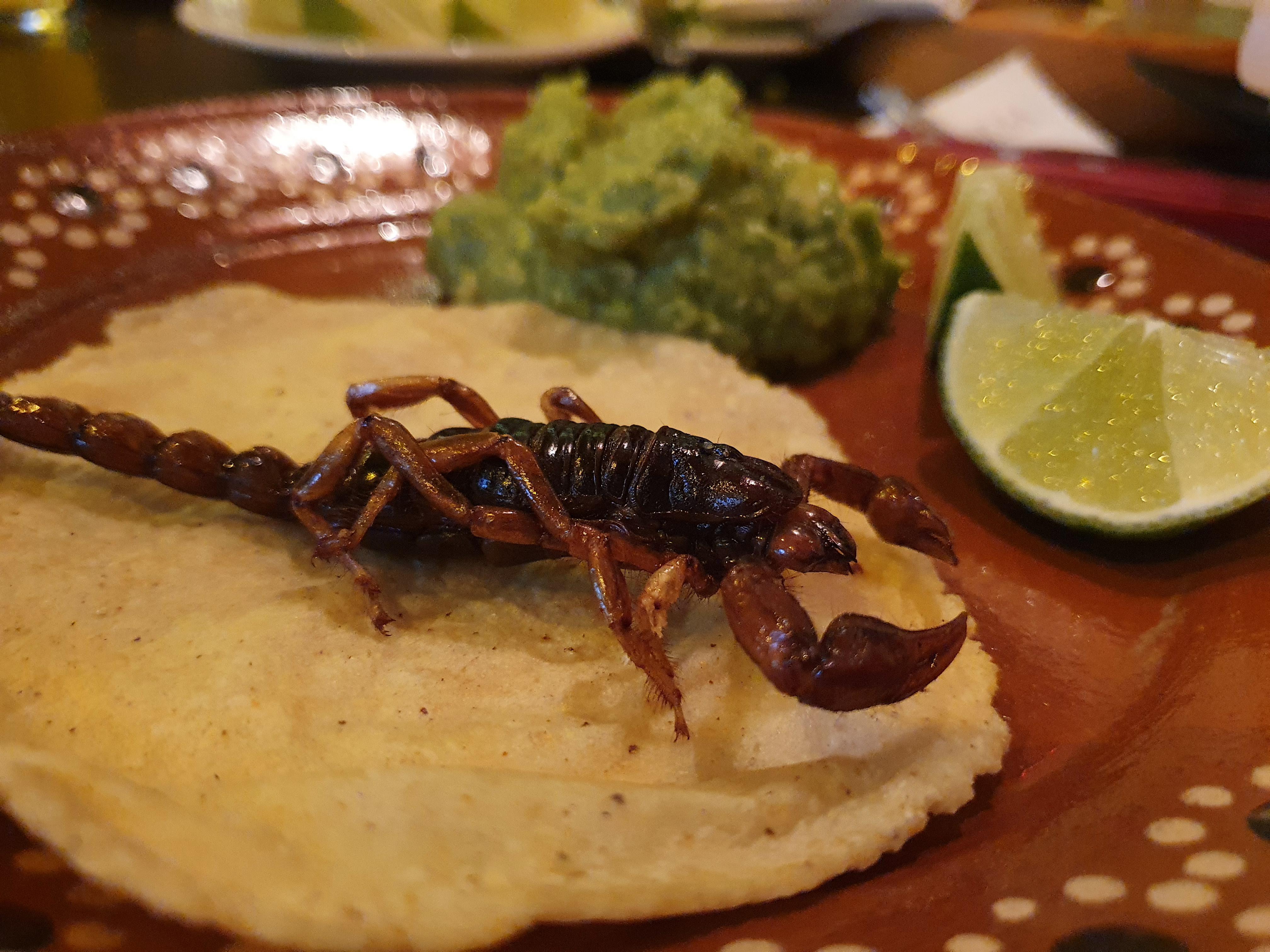 Tacos de alacrán, lo que puedes encontrar en Durango