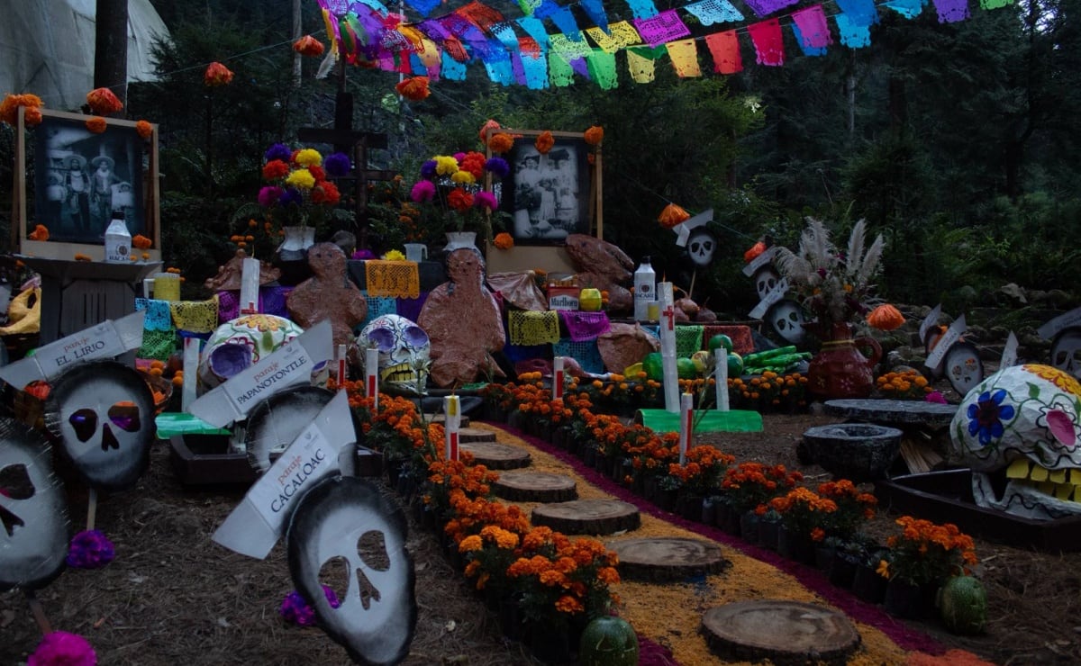Pueblo Santa Rosa Xochiac en ÁO celebra el Día de Muertos con un ...