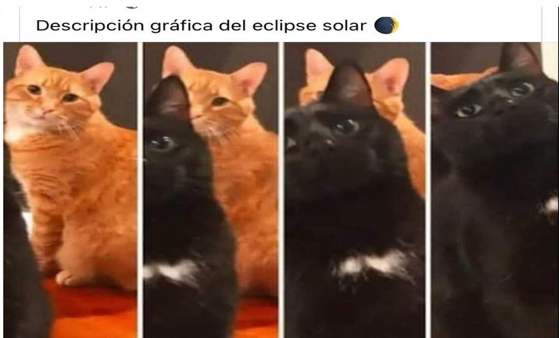 Eclipse Solar 2024: Los mejores memes que dejó el evento astronómico