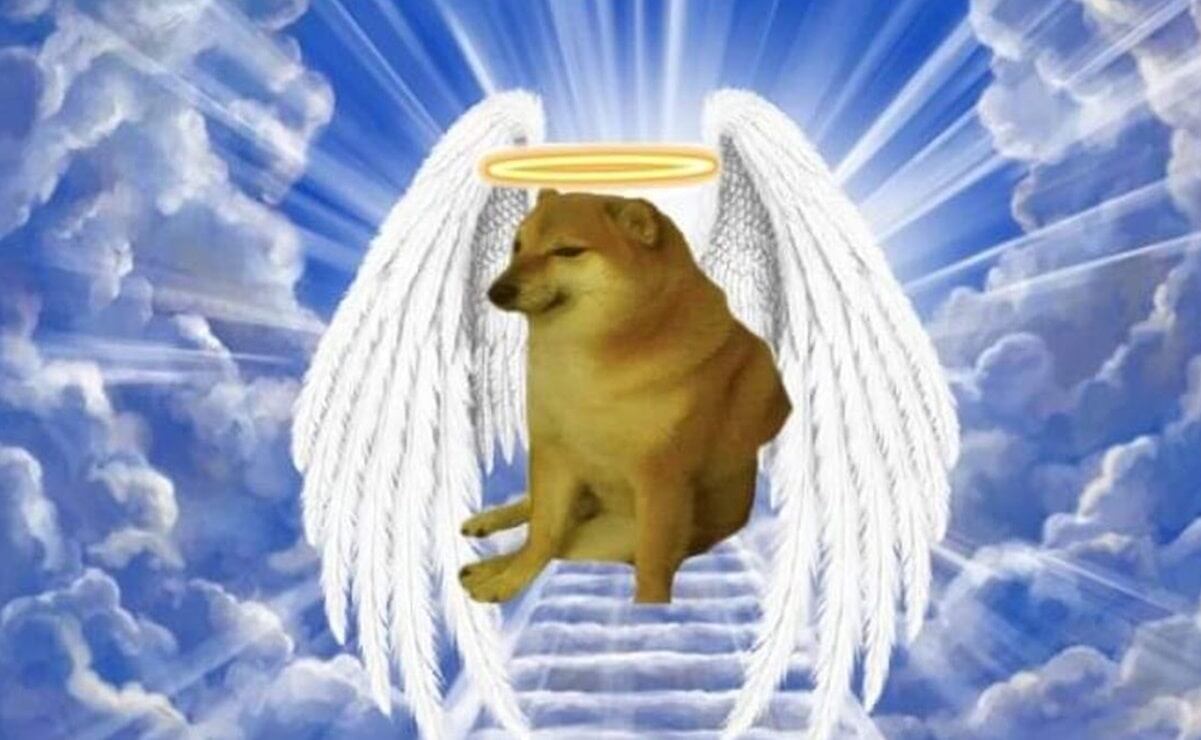 Despiden a Cheems, perrito viral, con los mejores memes de Internet