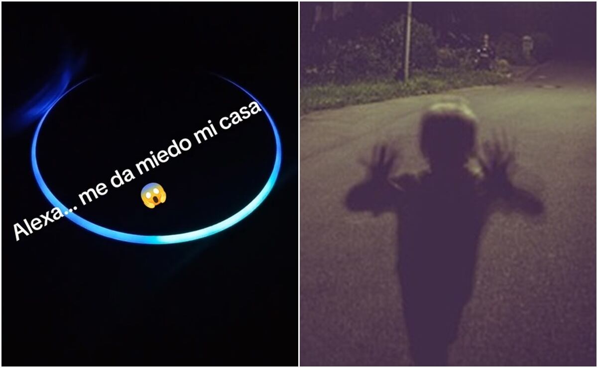 ¿Qué pasa si digo “Alexa, me da miedo mi casa”? El nuevo reto viral que ...