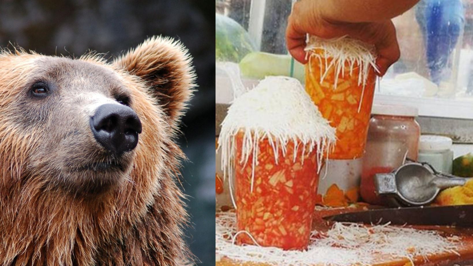 ¿Qué es el "caldo de oso", una botana rara pero rica de México