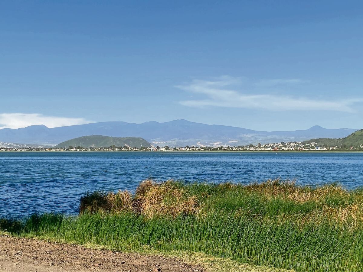 Declaran a Lago Tláhuac-Xico área natural protegida