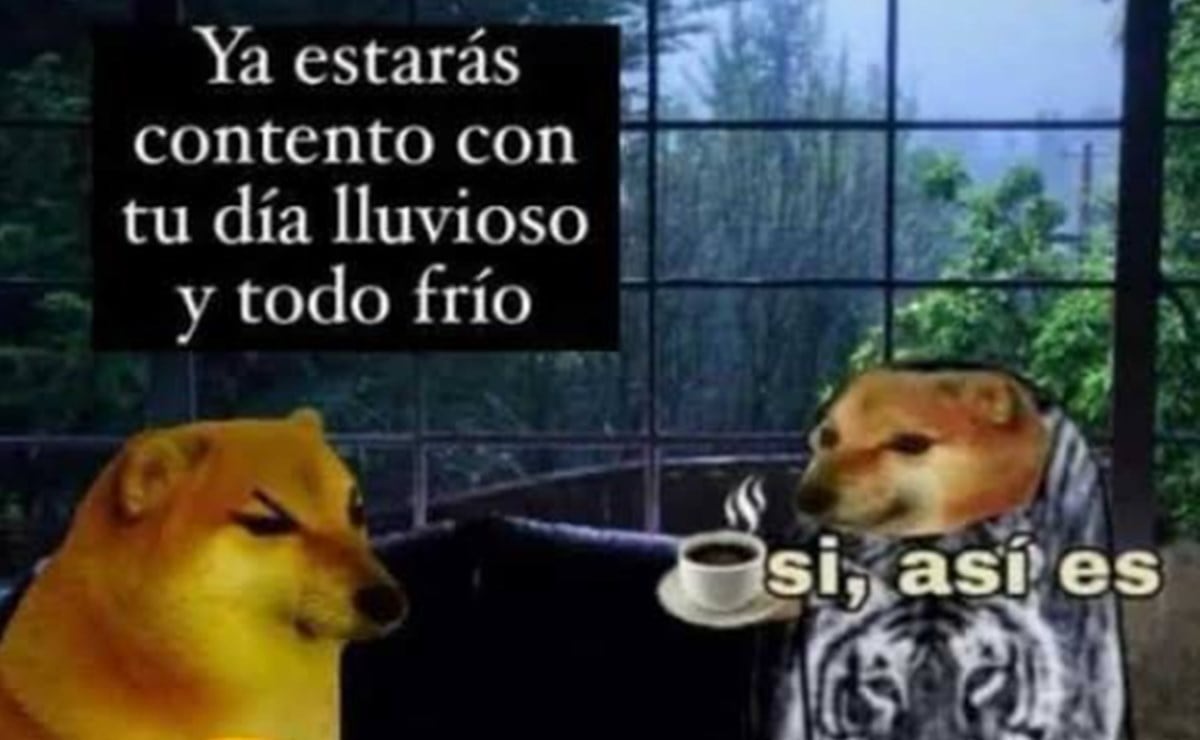 “Team Frío”: Los mejores memes que han dejado las bajas temperaturas en ...