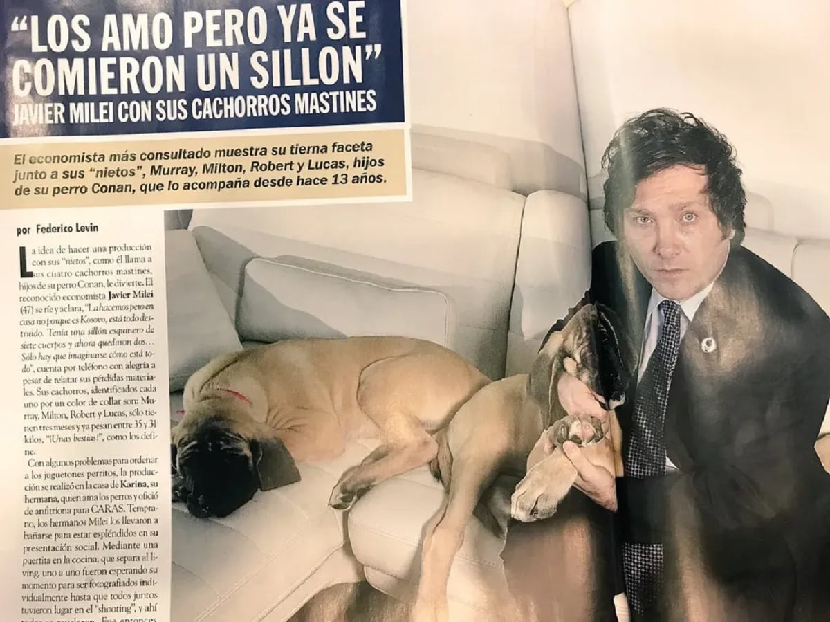 ¿Cuánto le costó al candidato argentino Javier Milei clonar a su perro ...